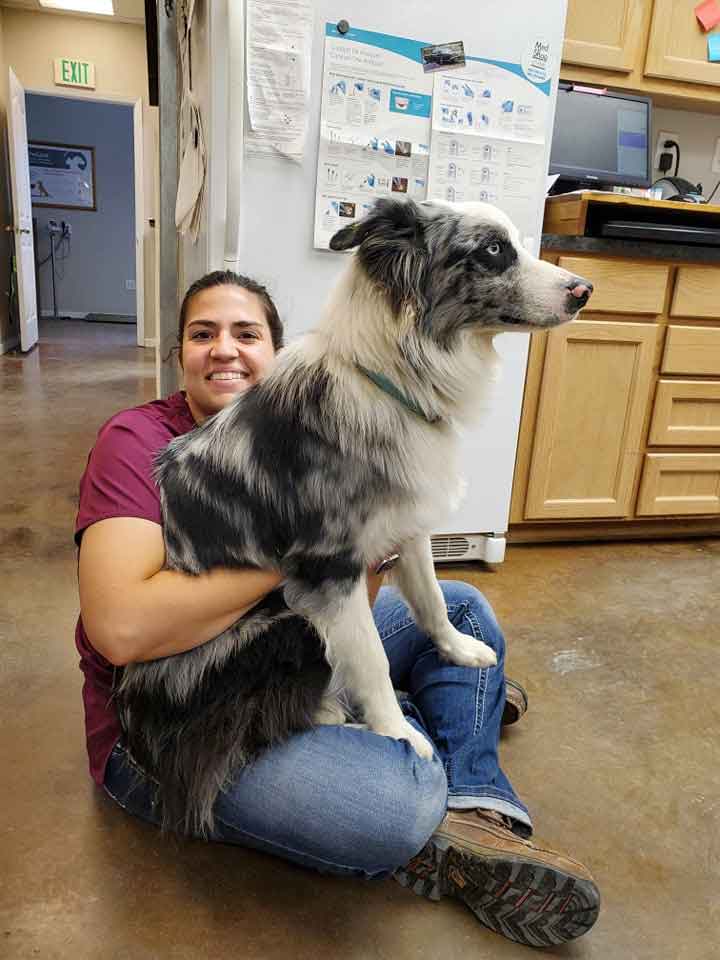 Meet Our Staff - Dublin Veterinary Clinic